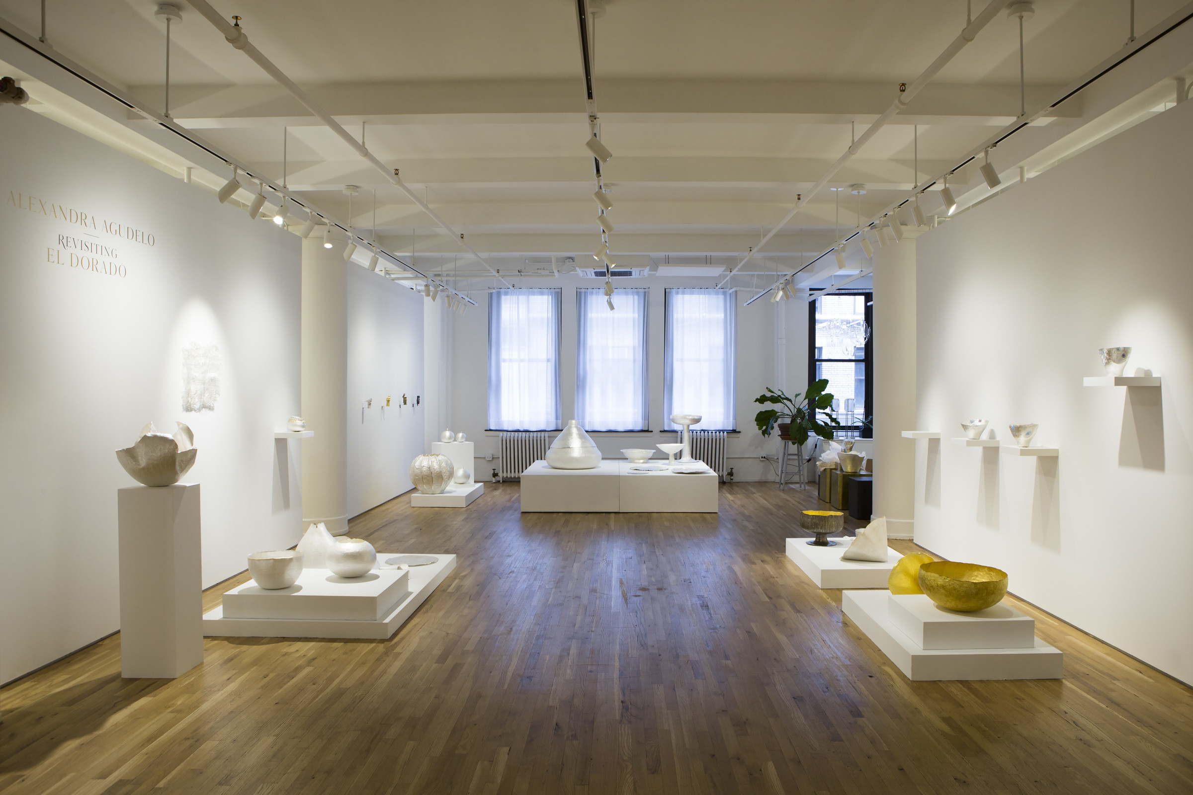 Alexandra Agudelo: Revisiting El Dorado – Exhibition – Cristina ...