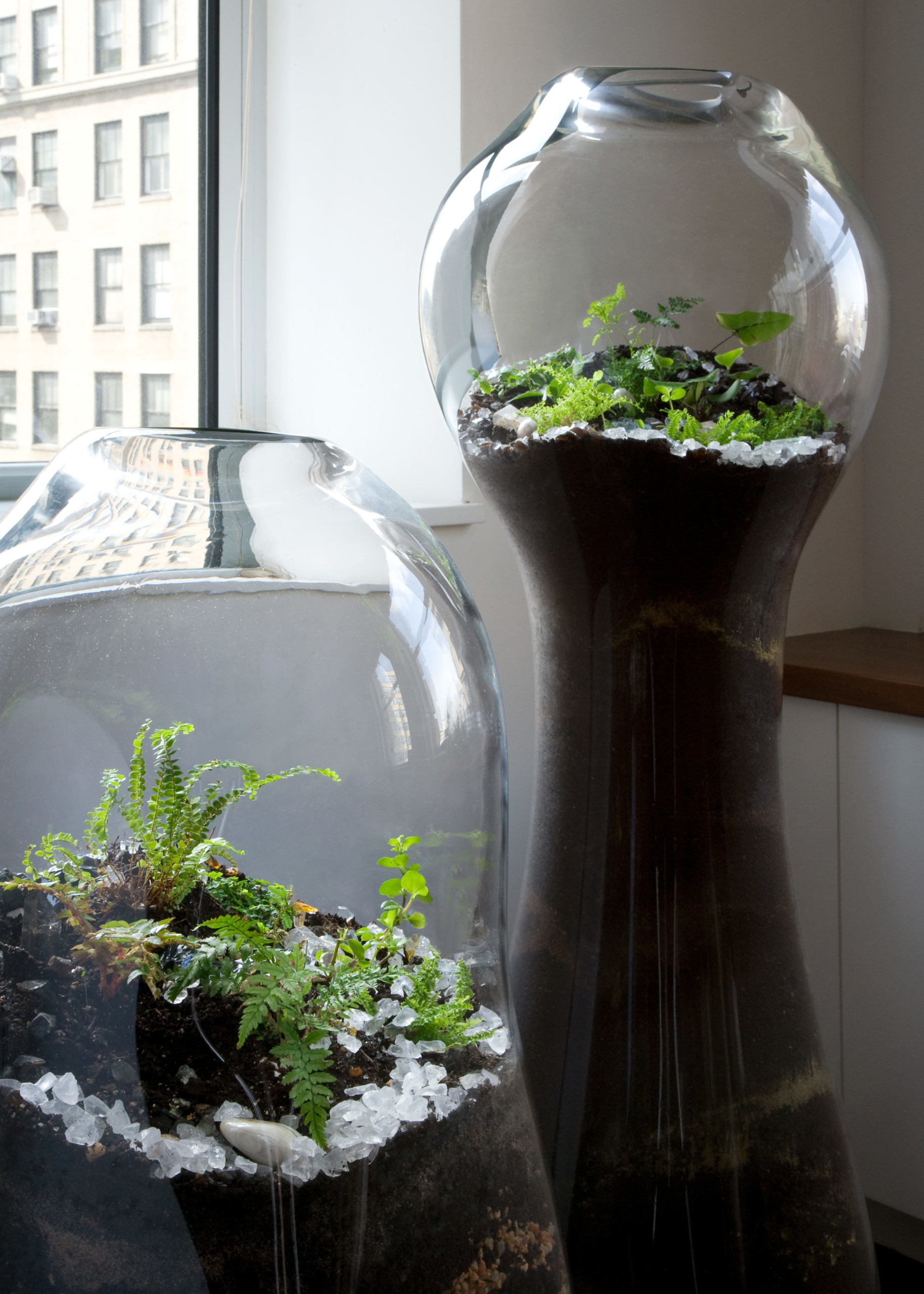 Giant Terrarium — Cristina Grajales Gallery
