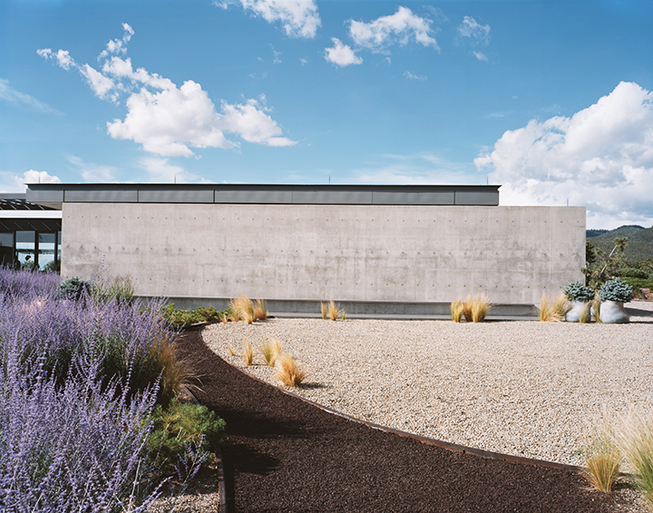 Klein Landscape — Cristina Grajales Gallery