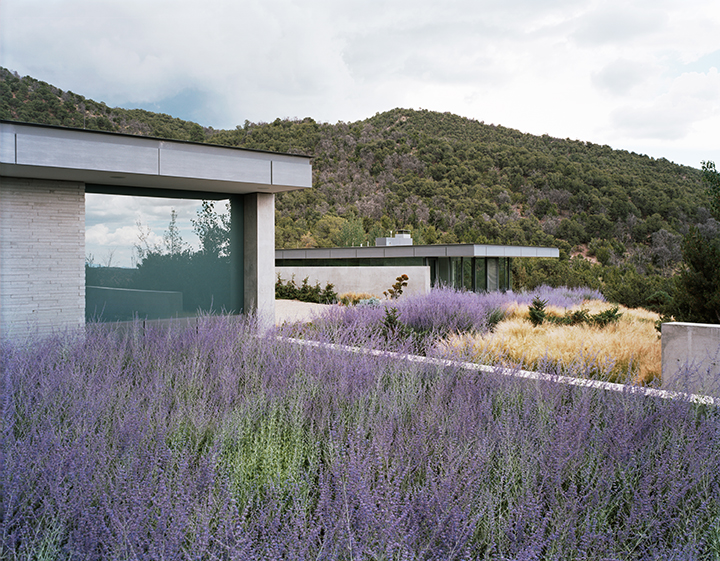 Klein Landscape — Cristina Grajales Gallery