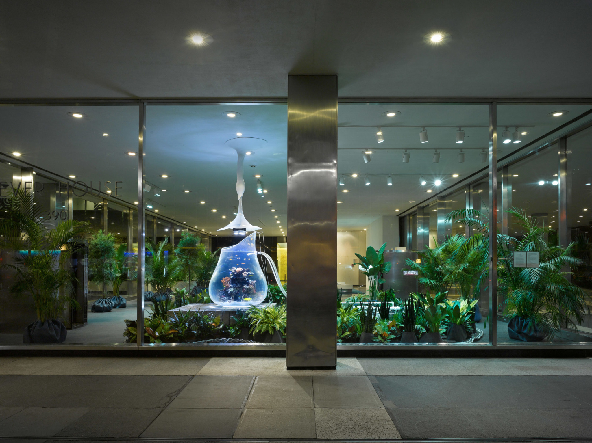 Paula Hayes — Cristina Grajales Gallery