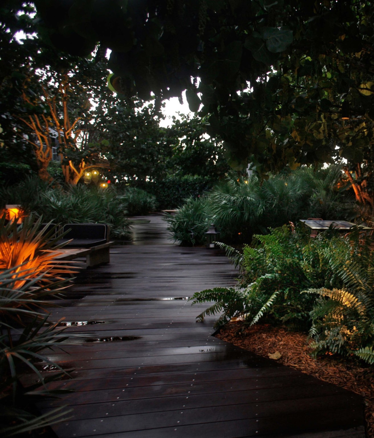 Paula Hayes — Cristina Grajales Gallery